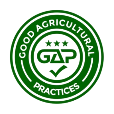 Fambo | Fresh Vegetables, Fruits, Semi-Processed Foods and more!